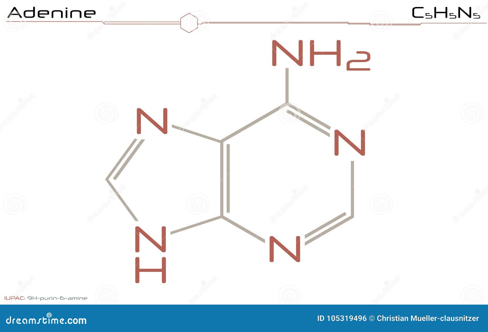 Molecule of Adenine stock vector. Illustration of atoms - 105319496