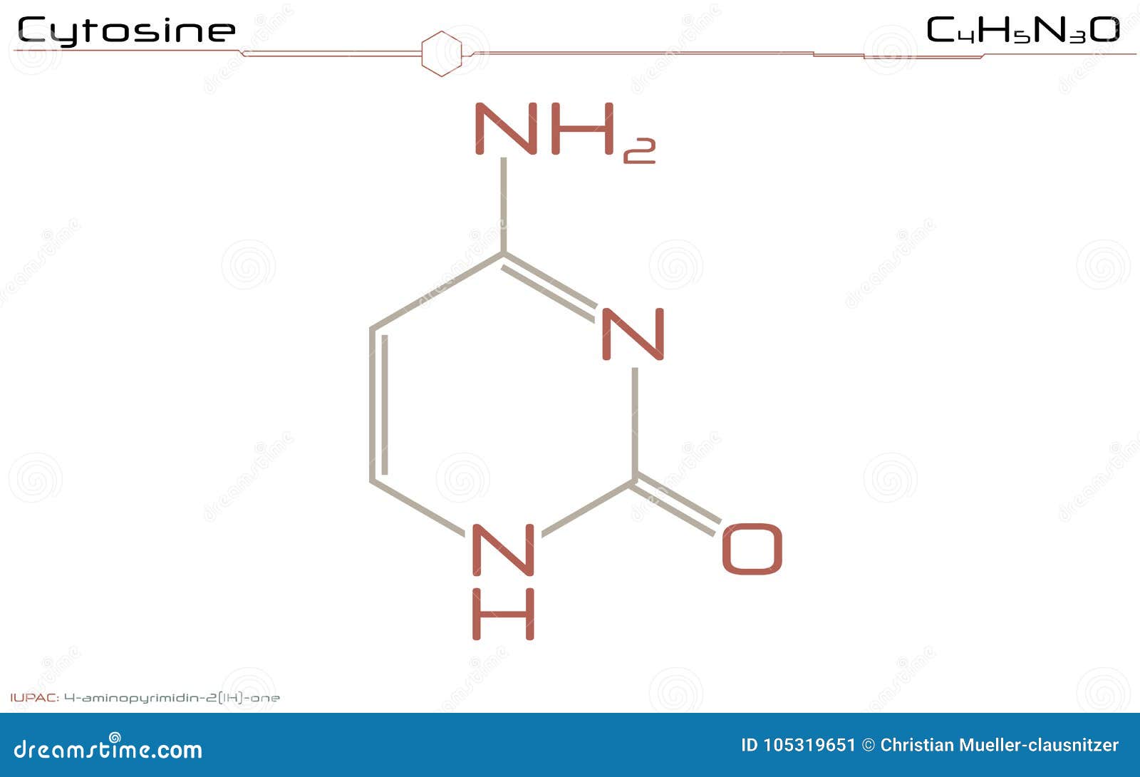 Molecule of Cytosine stock vector. Illustration of nature - 105319651