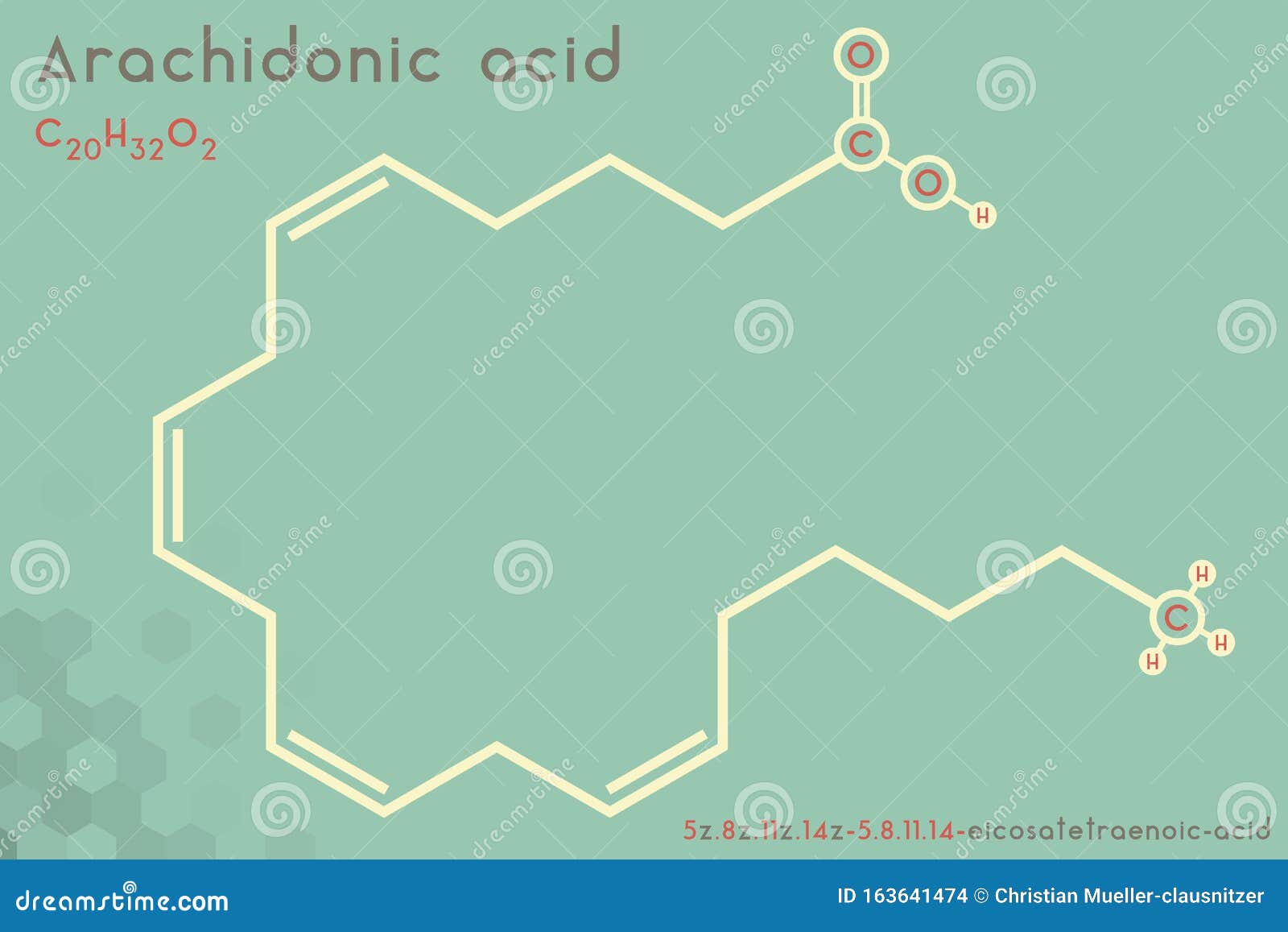 Infographic of the Molecule of Arachidonic Acid Stock Vector ...