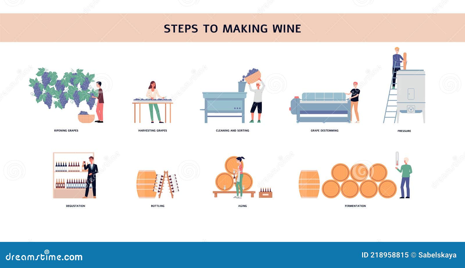 Infographic Showing Steps of Winemaking, Flat Vector Illustration ...