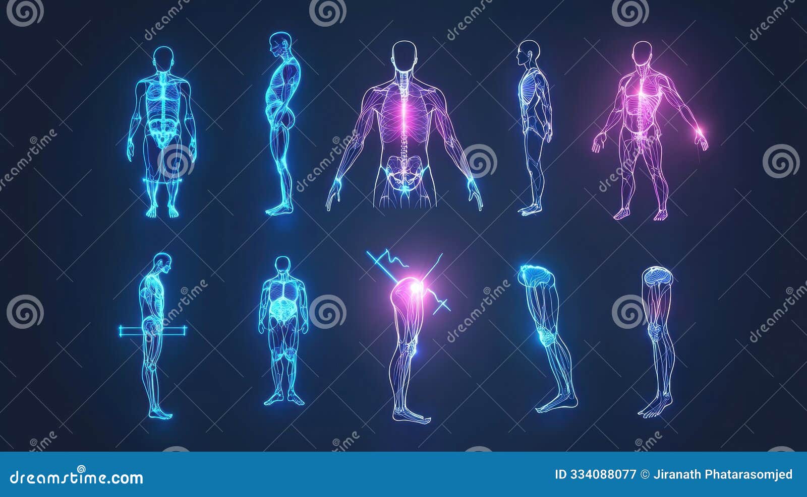 Medical Infographic Showing Various Human Skeletal and Muscular ...