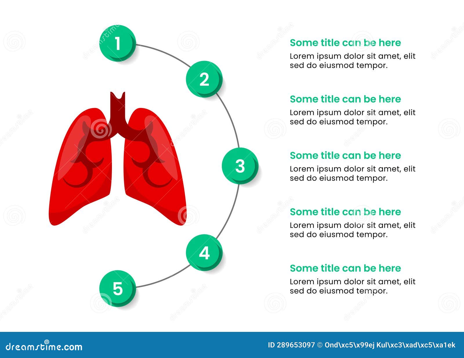 Lungs Infographic Infocharts Vector Illustration | CartoonDealer.com ...