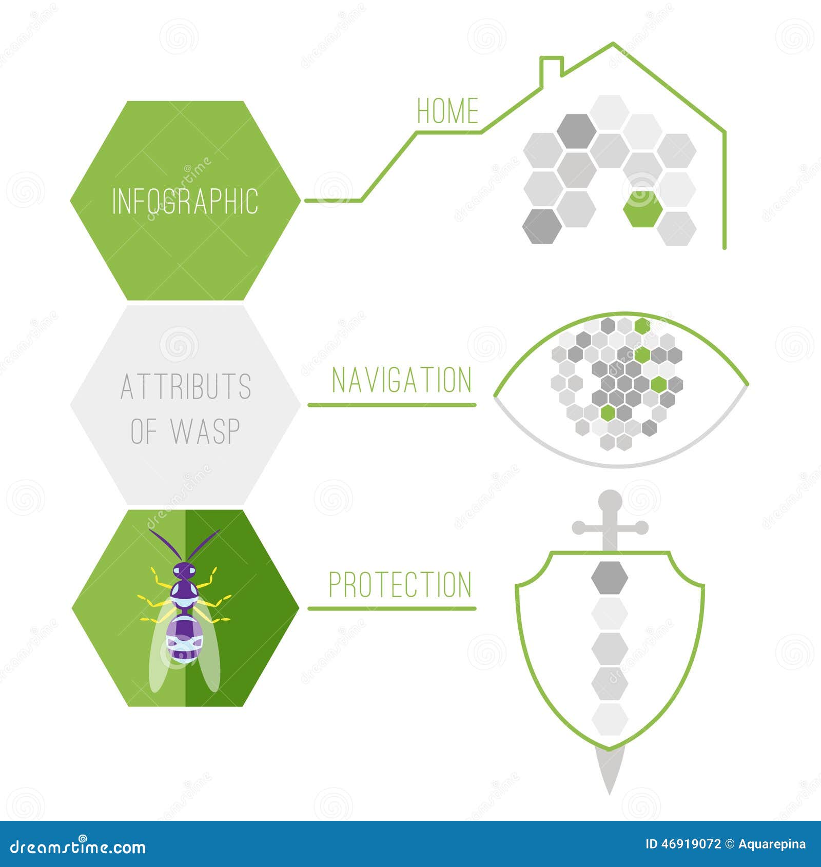 Infographicattributen Van Wesp Vector Illustratie Vector Illustratie ...