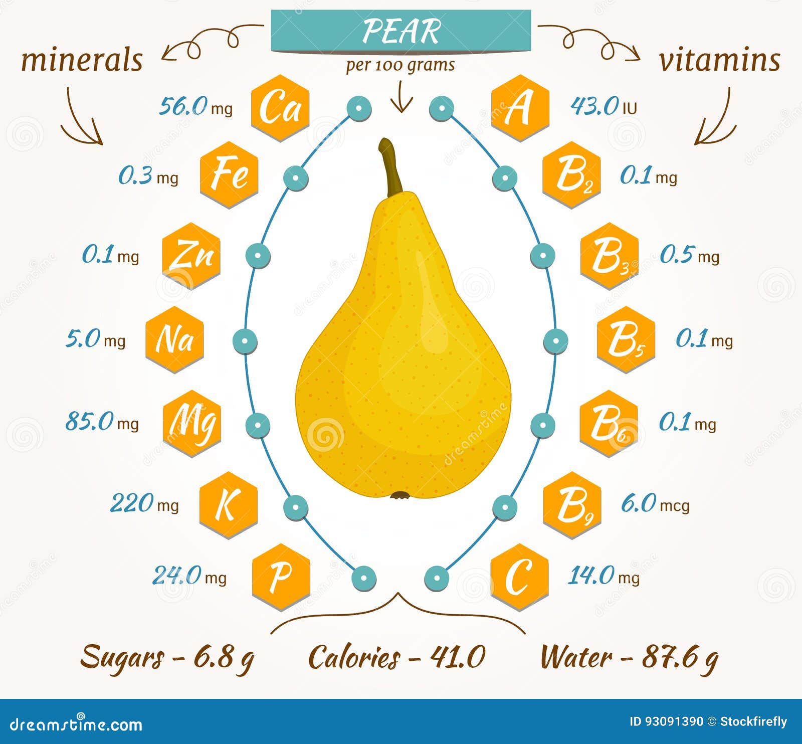 Infographics Da Pera Do Vetor Ilustração do Vetor - Ilustração de pera ...