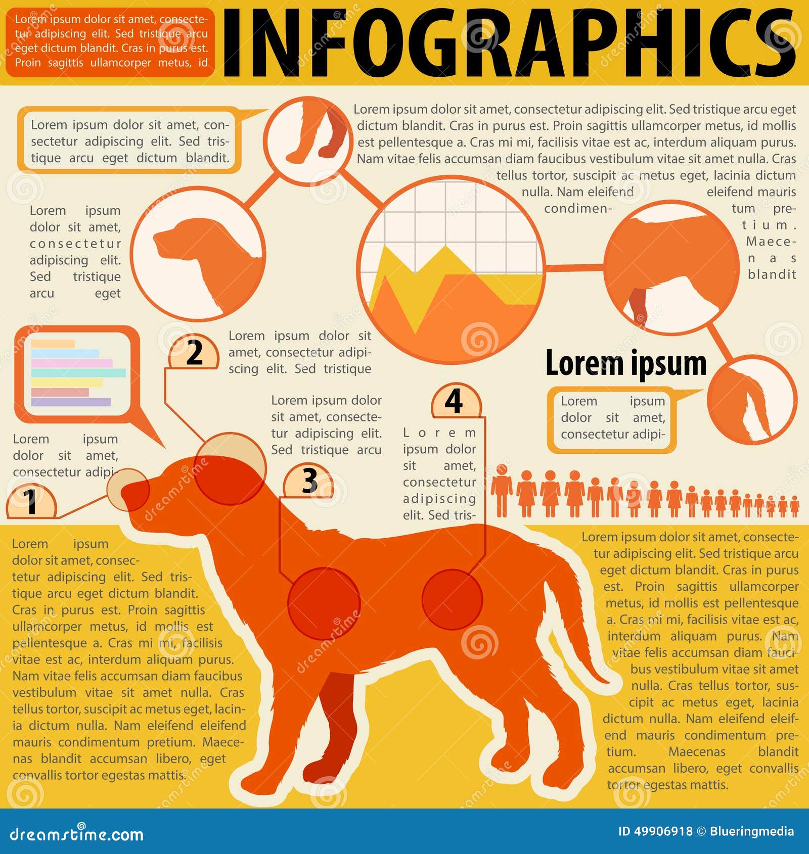 An infographics of a dog stock vector. Illustration of infochart - 49906918