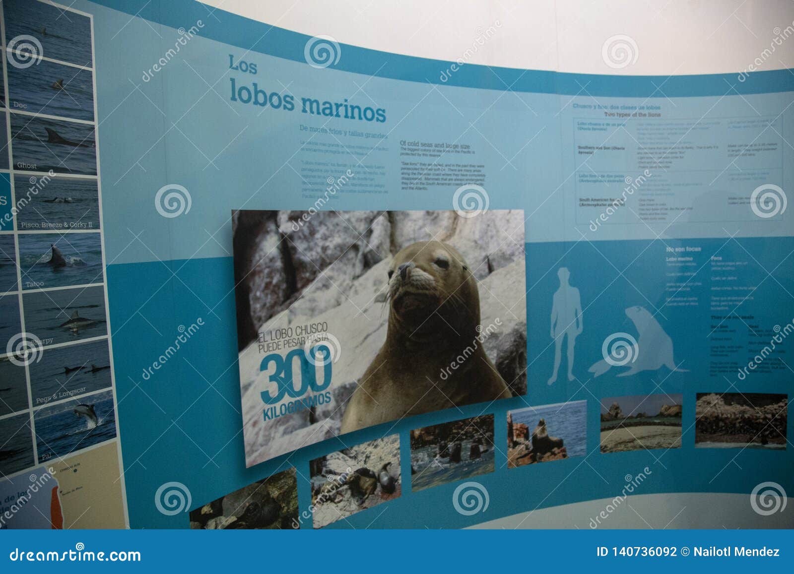 Infographics E Mapas , Reserva Nacional Do Peru De Paracas Fotografia ...