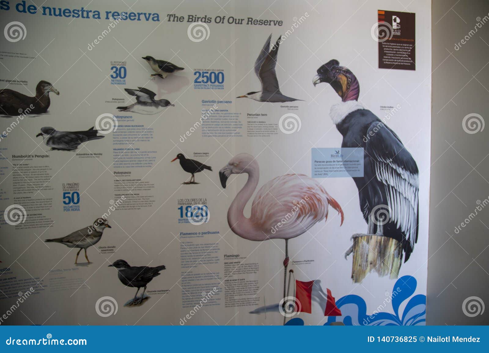 Infographics E Mapas , Reserva Nacional Do Peru De Paracas Imagem ...