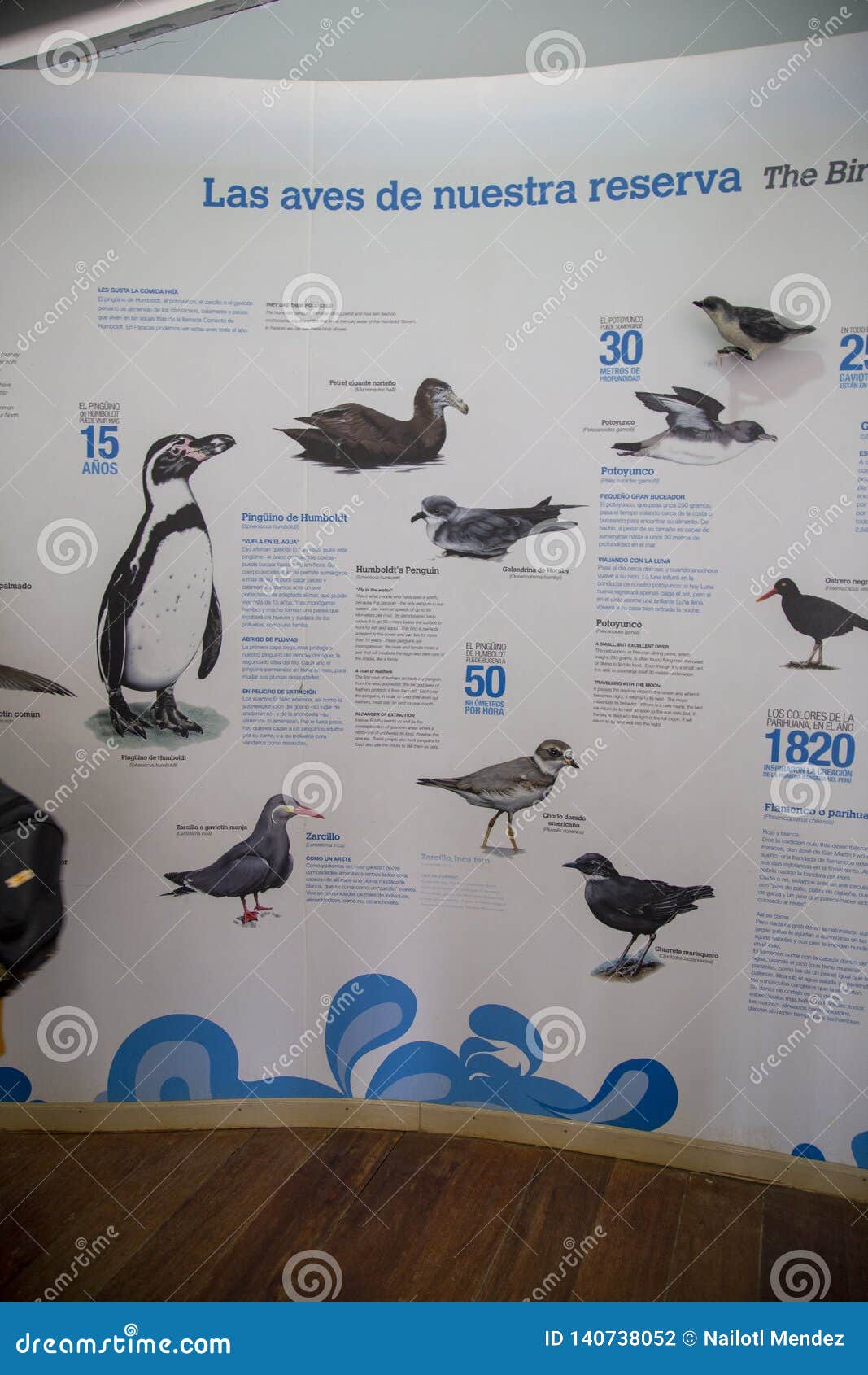 Infographics E Mapas , Reserva Nacional Do Peru De Paracas Fotografia ...