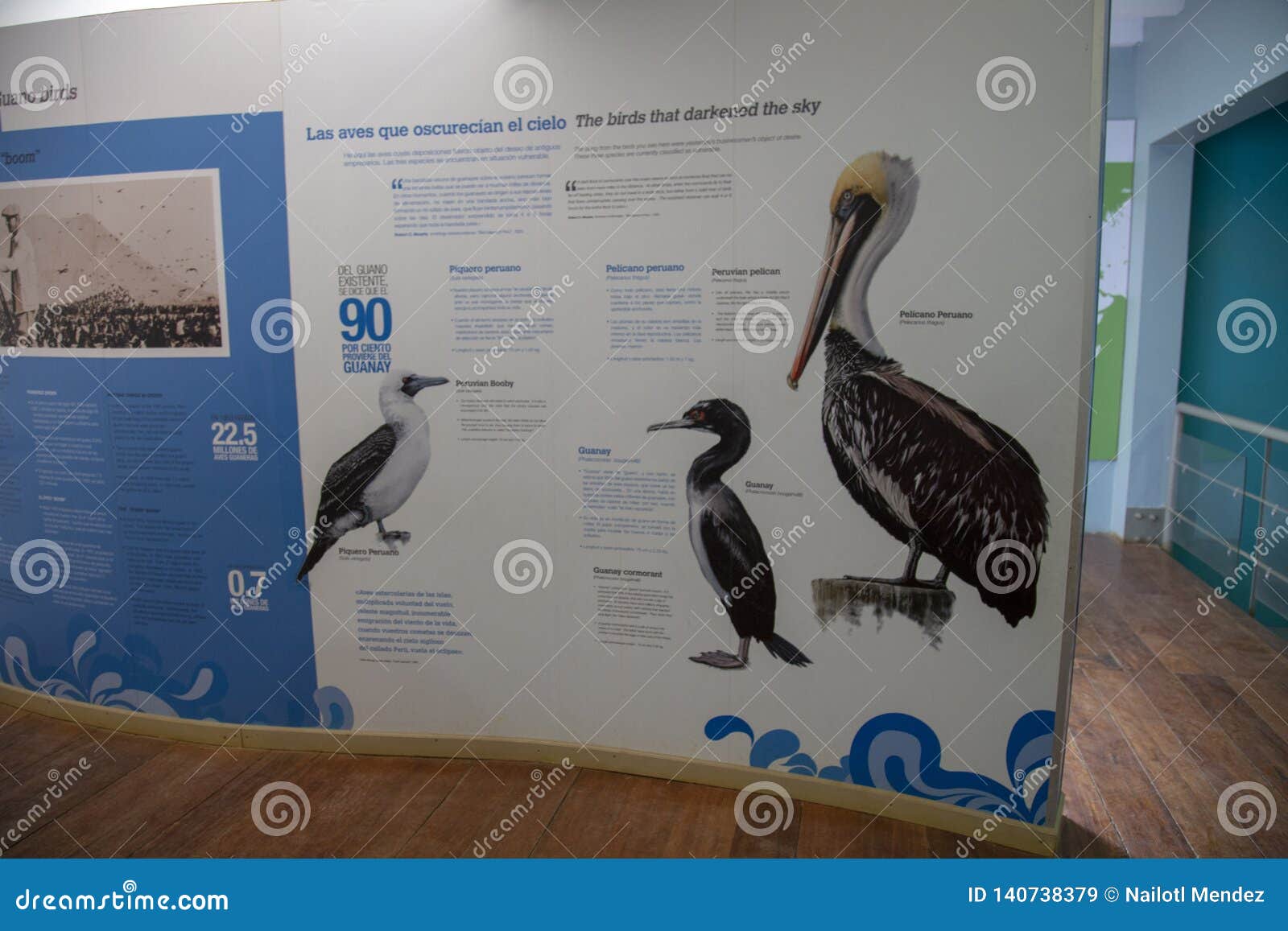 Infographics E Mapas , Reserva Nacional Do Peru De Paracas Imagem de ...