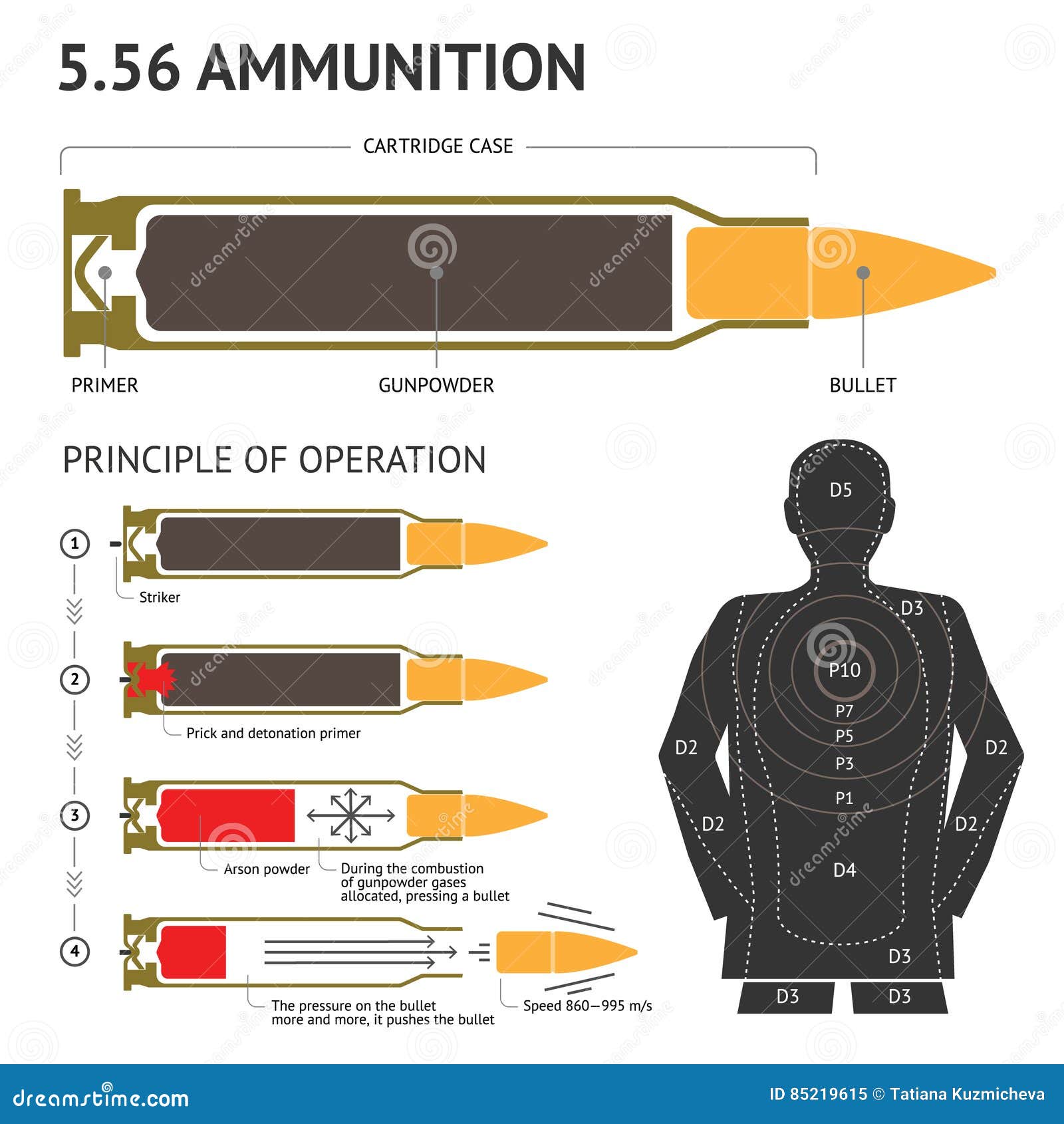 Infographics about the Principle of Bullet Operation. Vector Stock ...