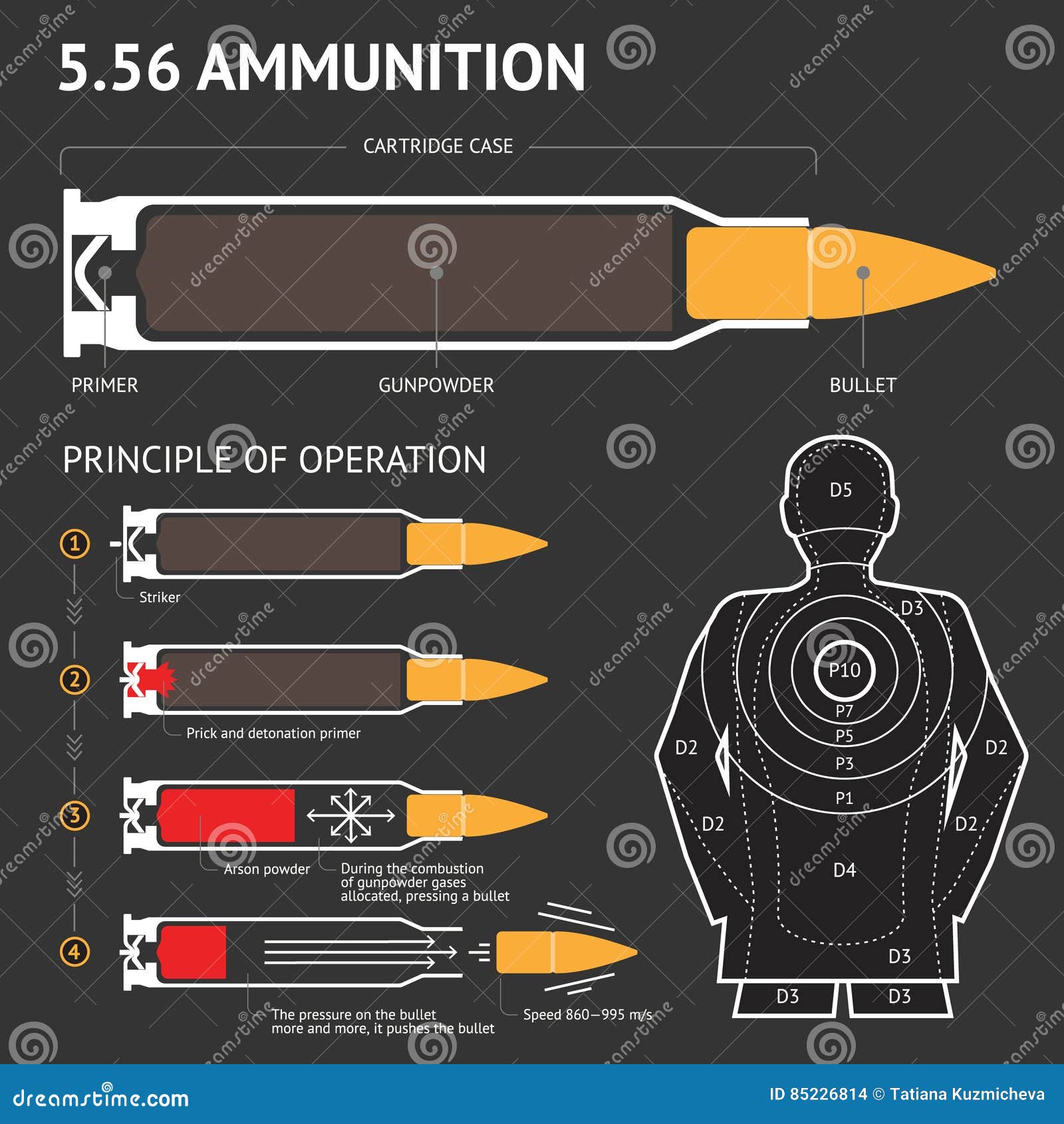 Infographics about the Principle of Bullet Operation. Vector Stock ...
