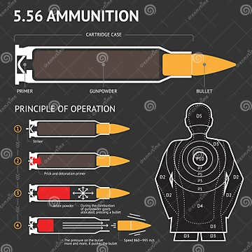 Infographics about the Principle of Bullet Operation. Vector Stock ...