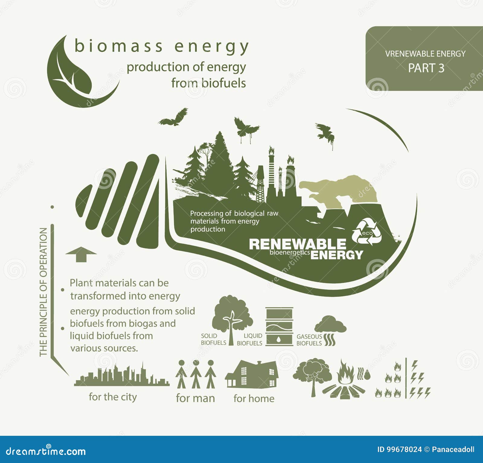 Infographics Renewable Source Of Biomass Energy Stock Vector