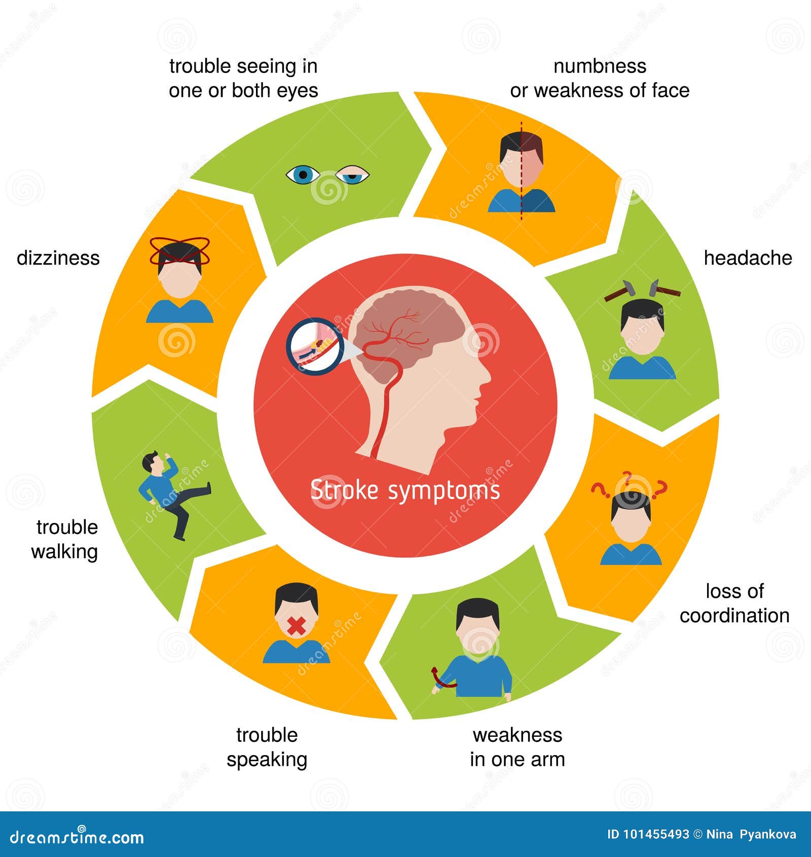 Infographics For Stroke Cartoon Vector | CartoonDealer.com #101455493