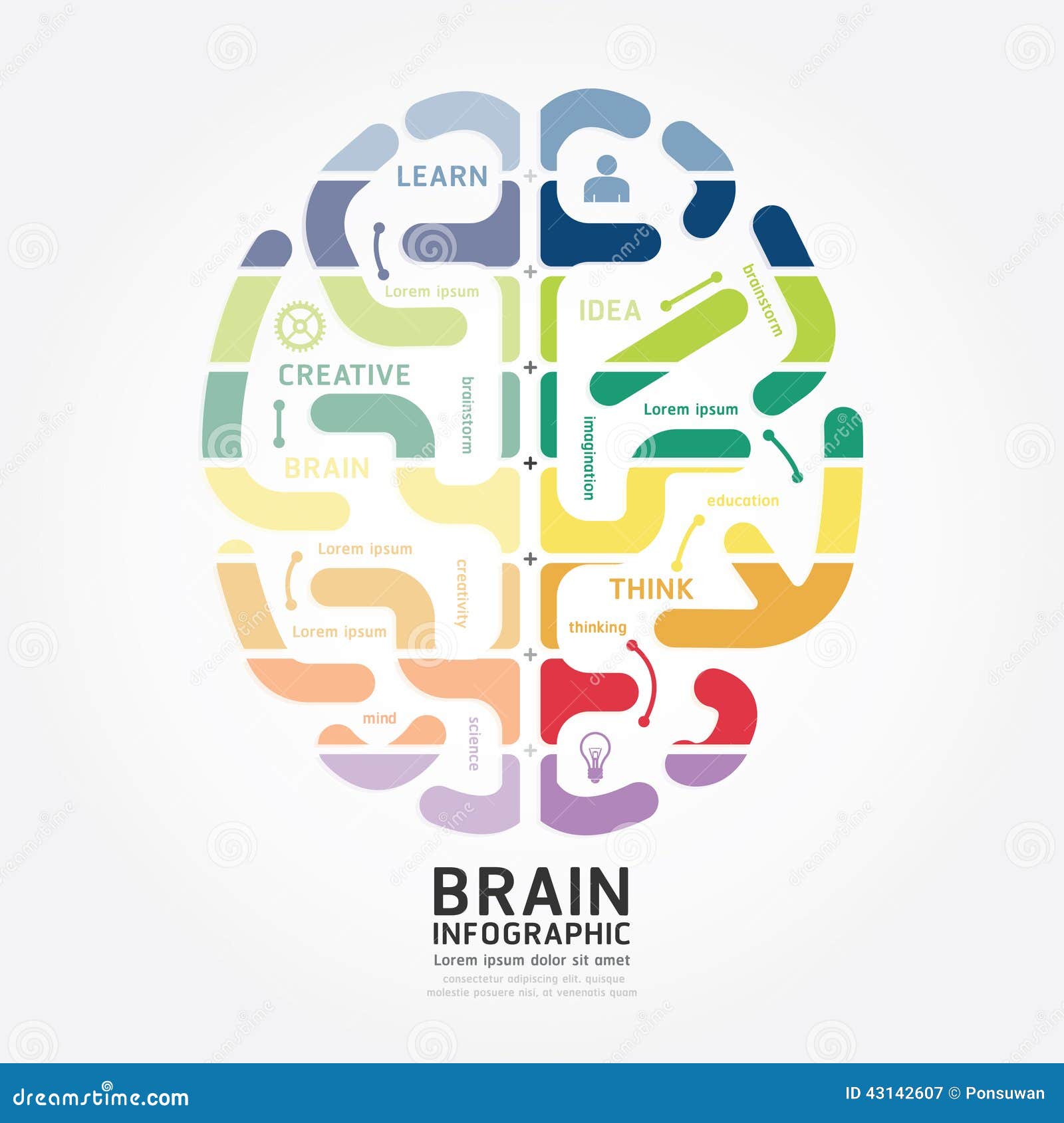 Infographics Vector Brain Design Diagram Line Style Template Stock ... Infographics Vector Brain Design Diagram Line Style Template Stock ...