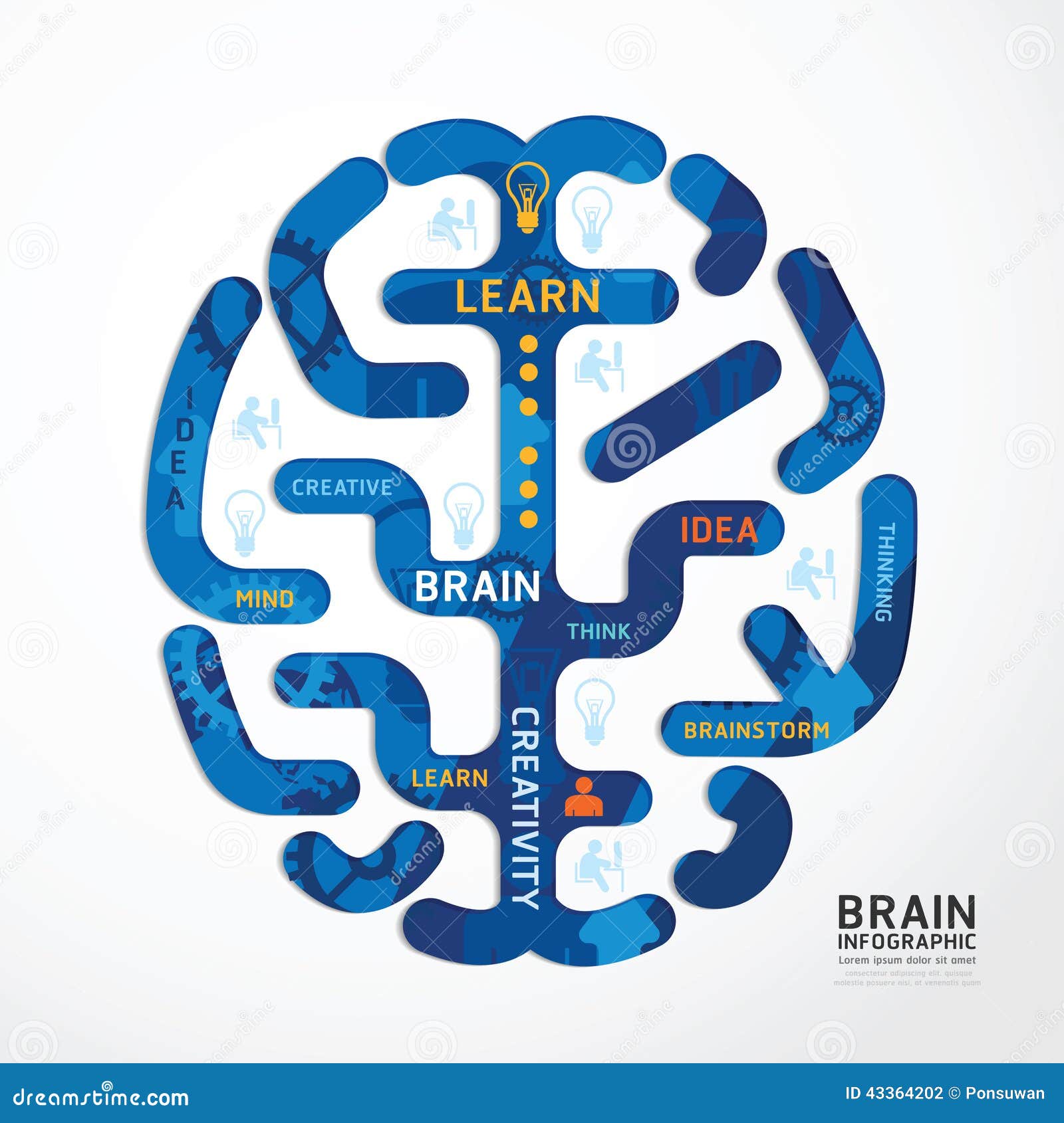 Infographics Vector Brain Design Diagram Line Style Template Stock ...