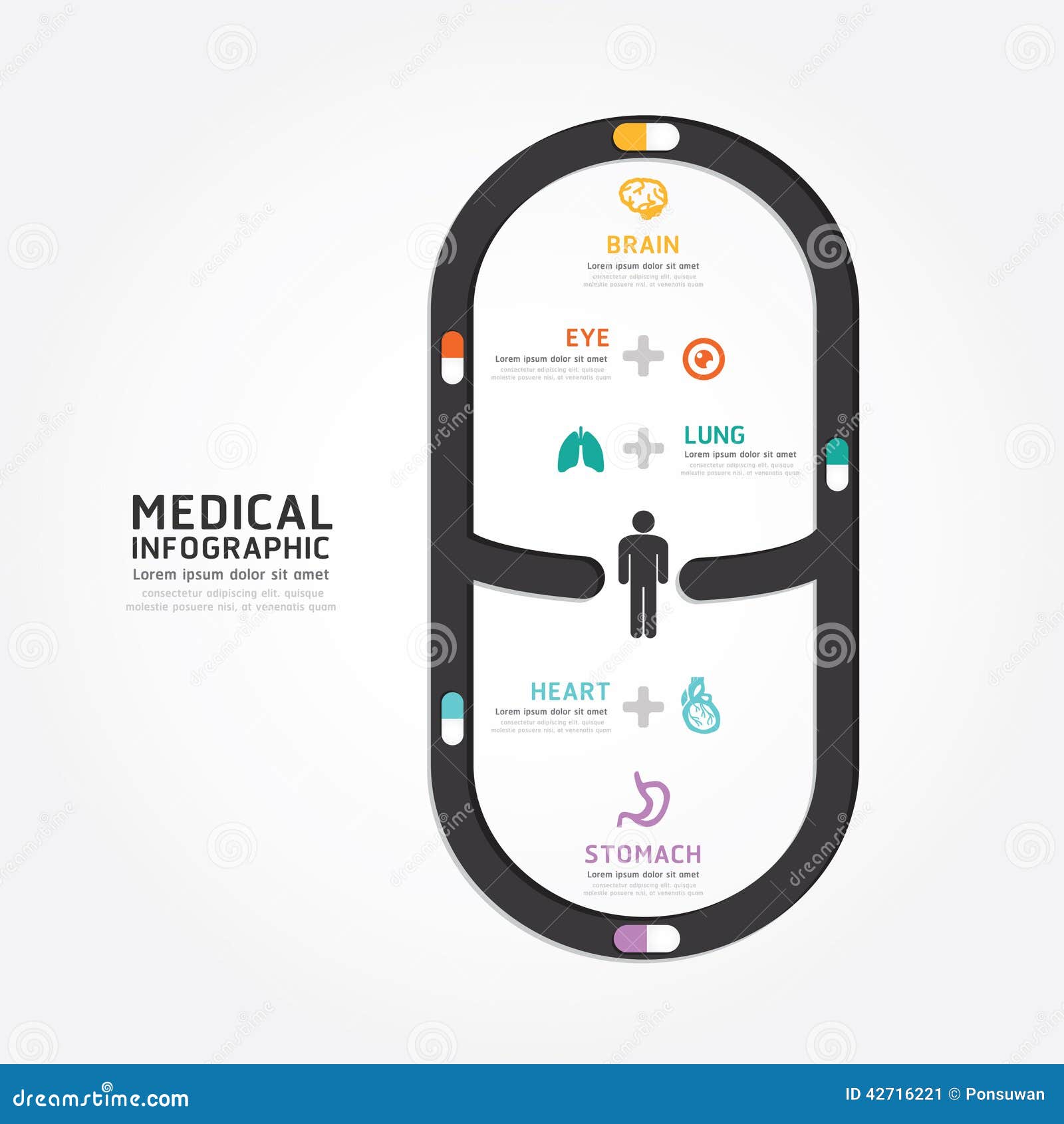 Infographics Vector Medical Capsule Design Diagram Line Style. Stock ...