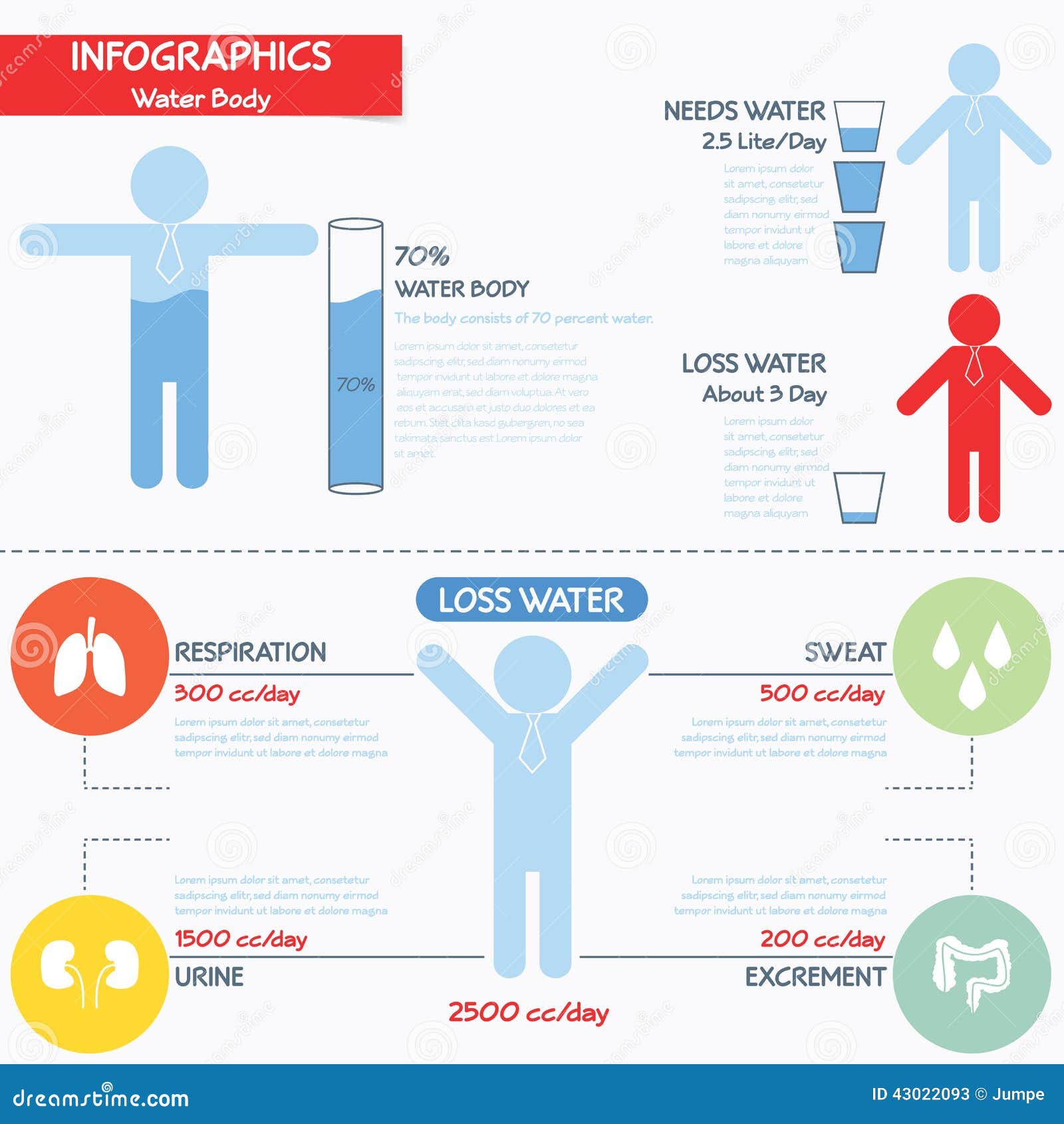 Infographics of water body stock vector. Illustration of ecology - 43022093