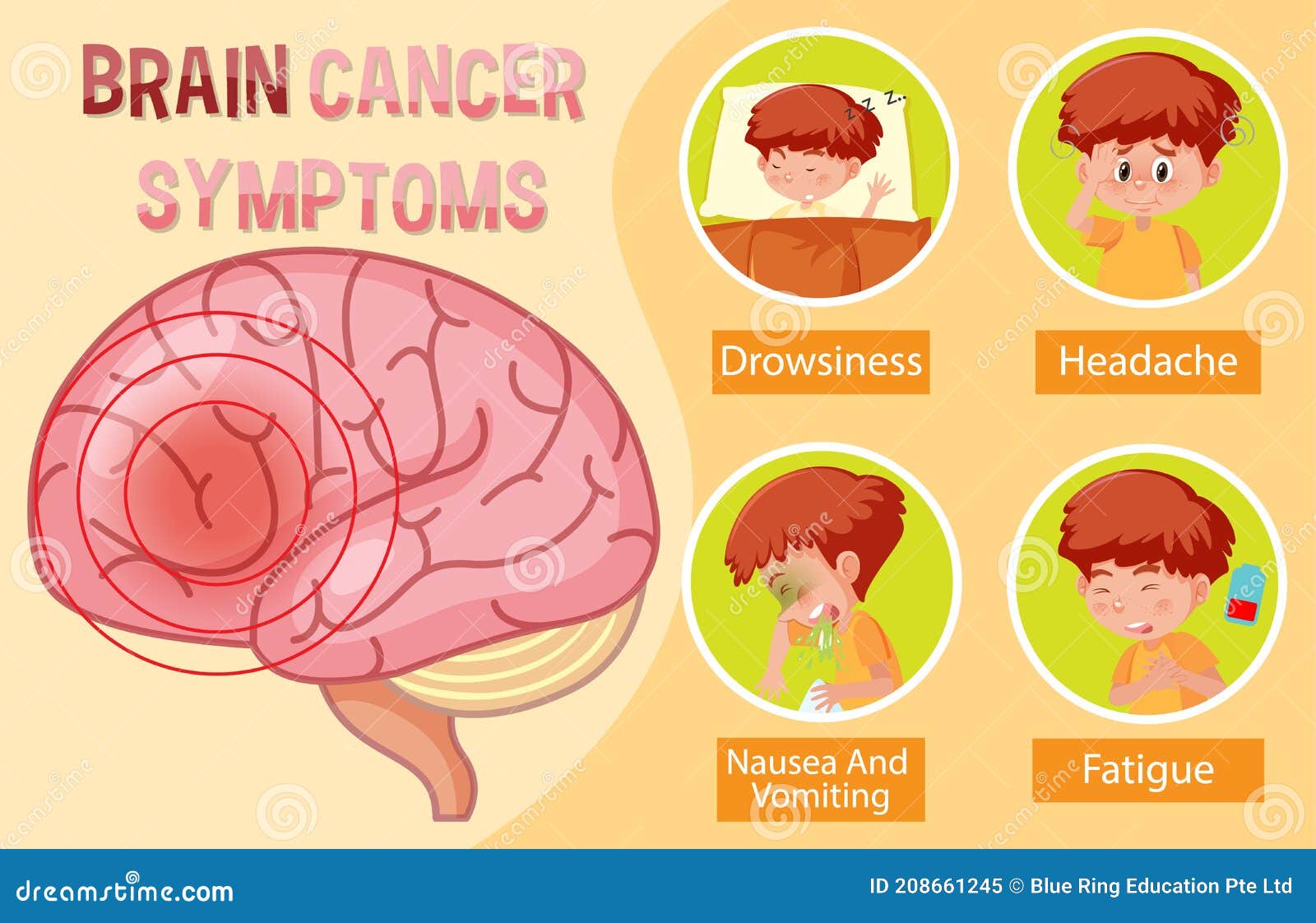 Information Poster of Human Brain Diagram Stock Vector - Illustration ...