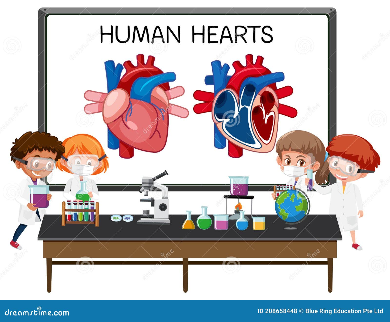 Information Poster of Human Heart Diagram Stock Vector - Illustration ...