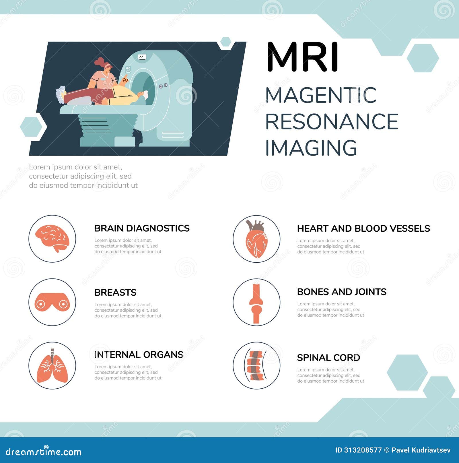 Information Vector Layout Explaining the Stages of an MRI Examination ...