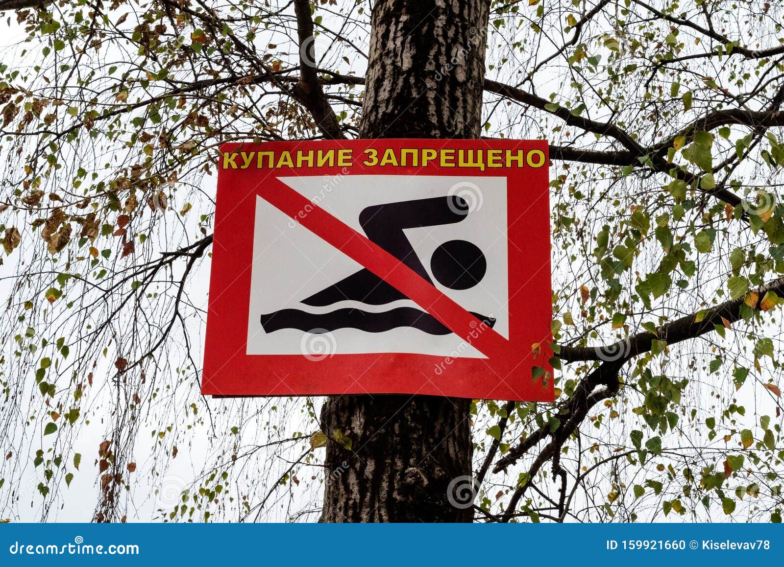 Information and Warning Sign. Text in Russian: Bathing is Prohibited ...