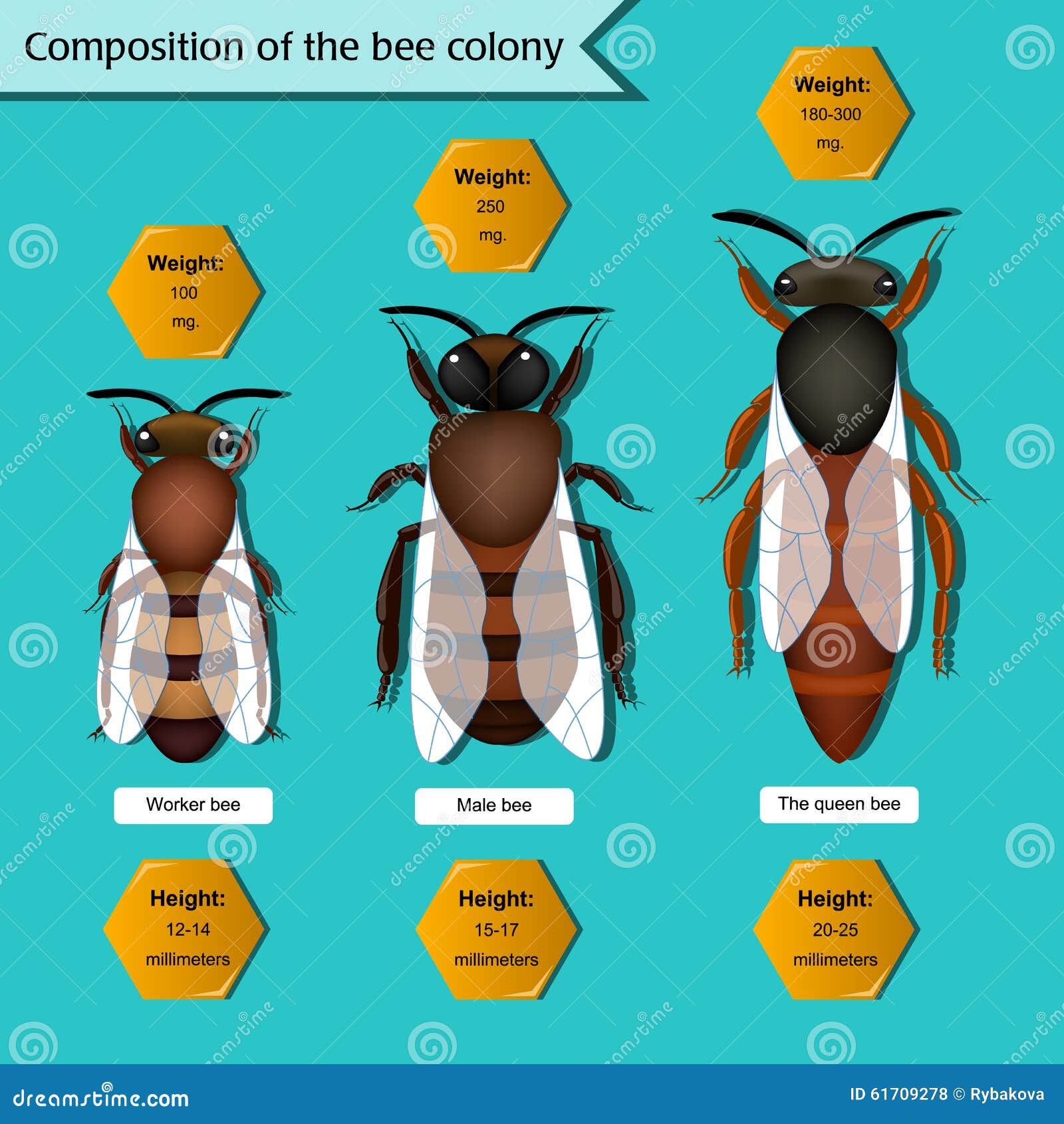 Informative Poster on the Composition of the Bee Colony Stock ...