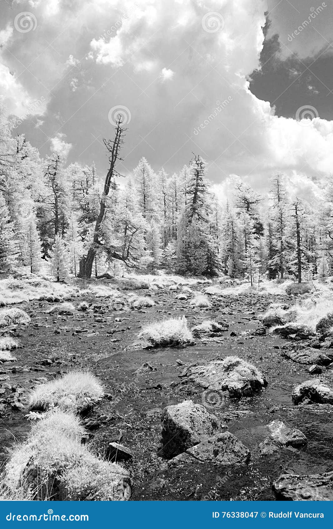 Infrared Alpine Field Forest Stock Photos - Free & Royalty-Free Stock ...