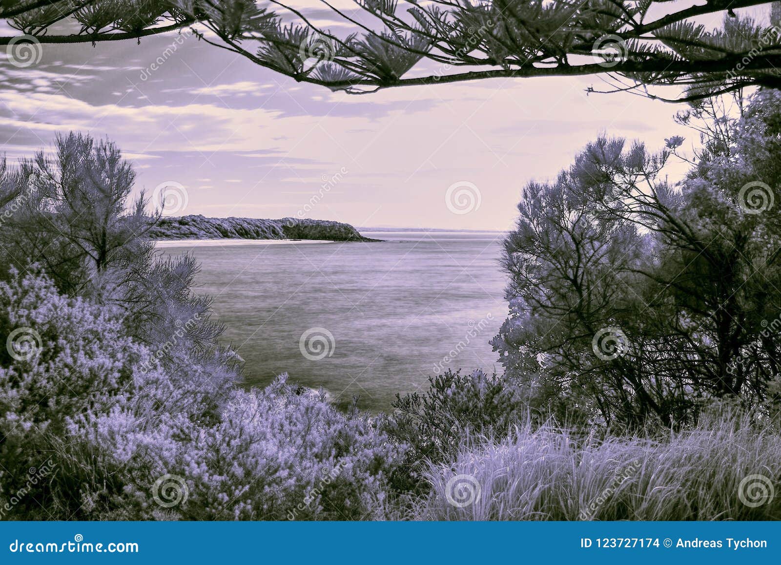 Infrared Beach Scene Blackhead Beach Stock Photo - Image of scenery ...