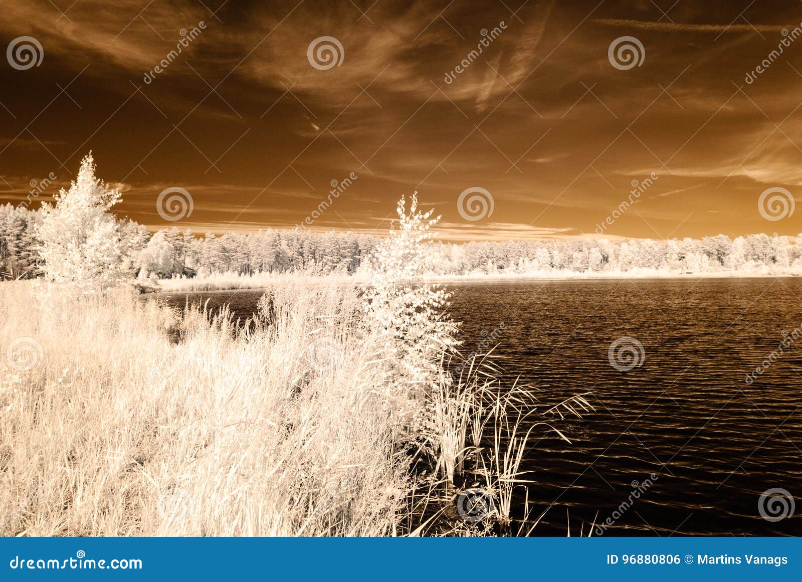 Infrared Camera Image. Reflections in Water Stock Photo - Image of ...