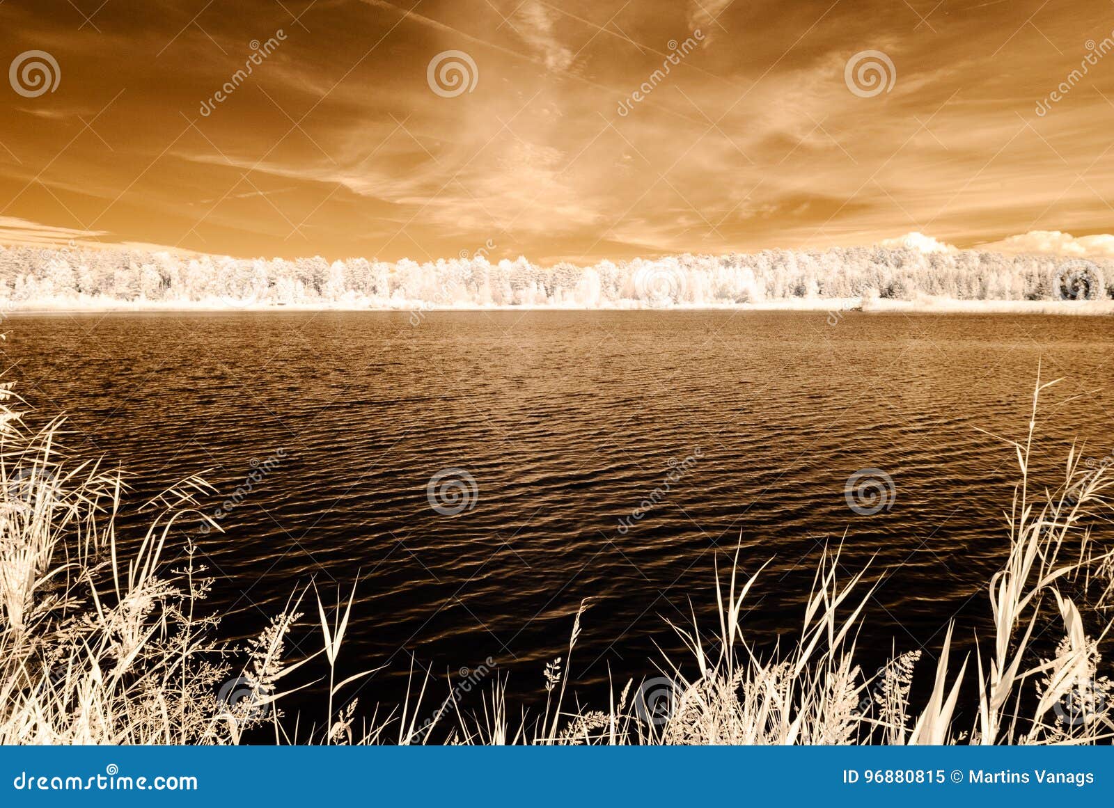 Infrared Camera Image. Reflections in Water Stock Image - Image of ...