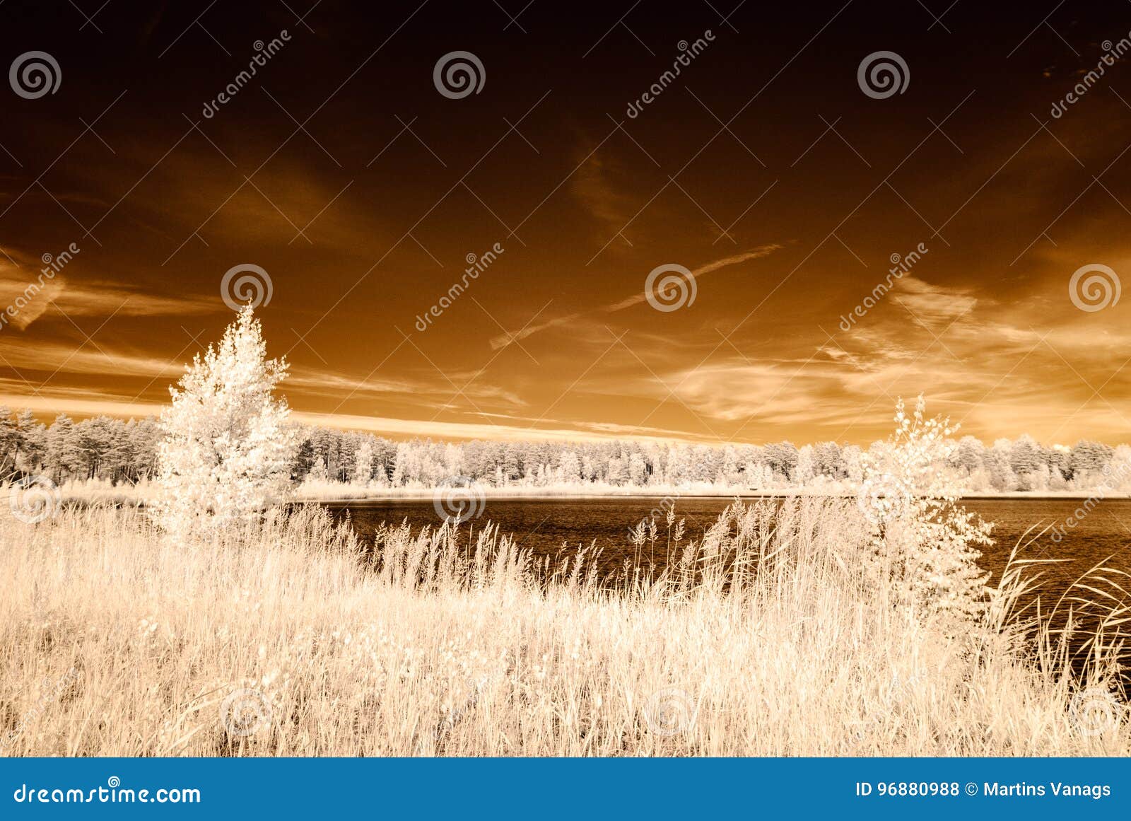 Infrared Camera Image. Reflections in Water Stock Photo - Image of blue ...