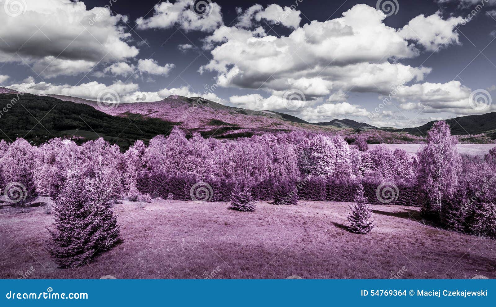 Infrared Forest and Mountains Stock Photo - Image of poland, autumn ...