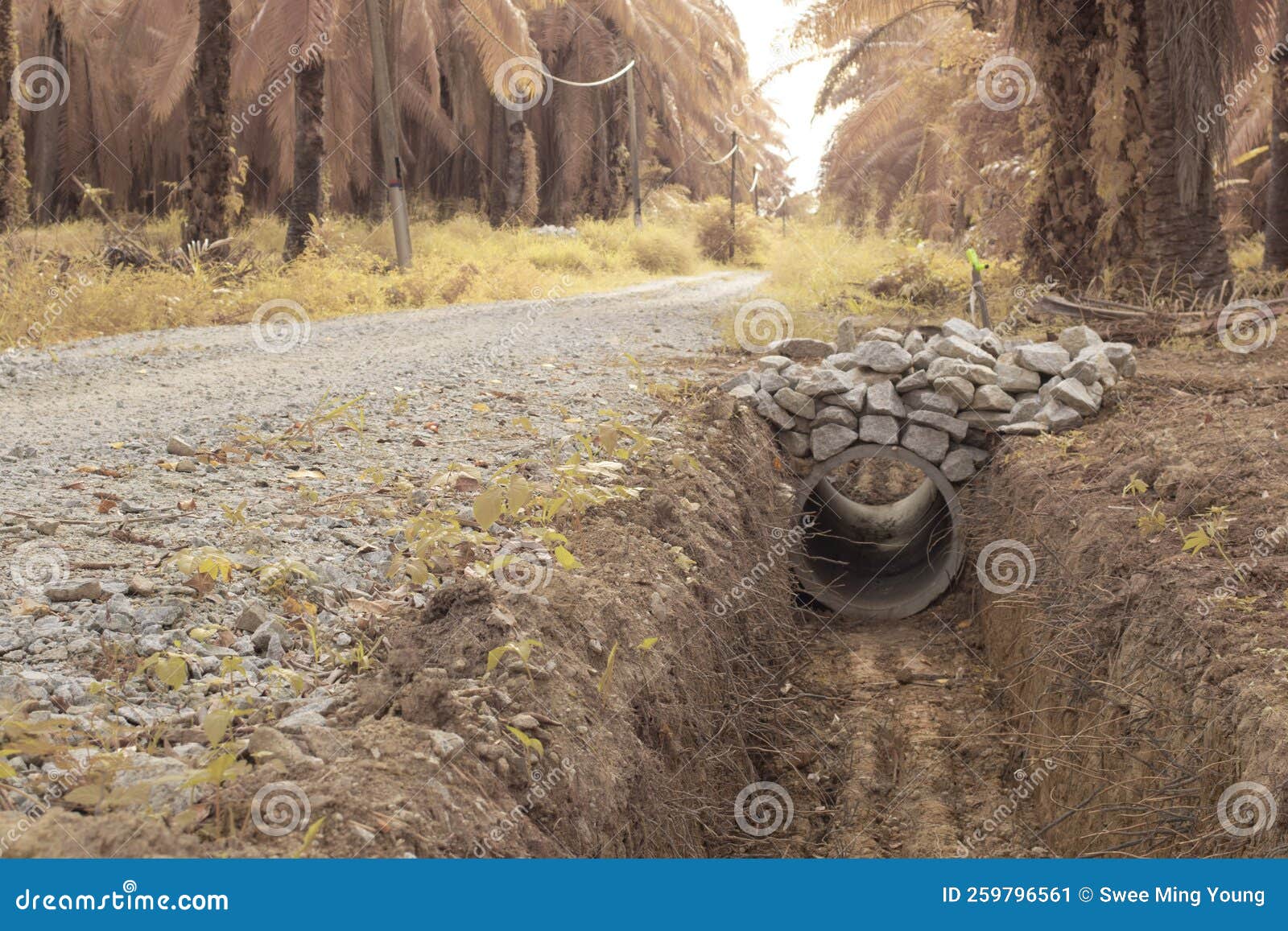 The Concrete Cylindrical Drain at the Countryside Farm Stock Image ... The Concrete Cylindrical Drain at the Countryside Farm Stock Image ...