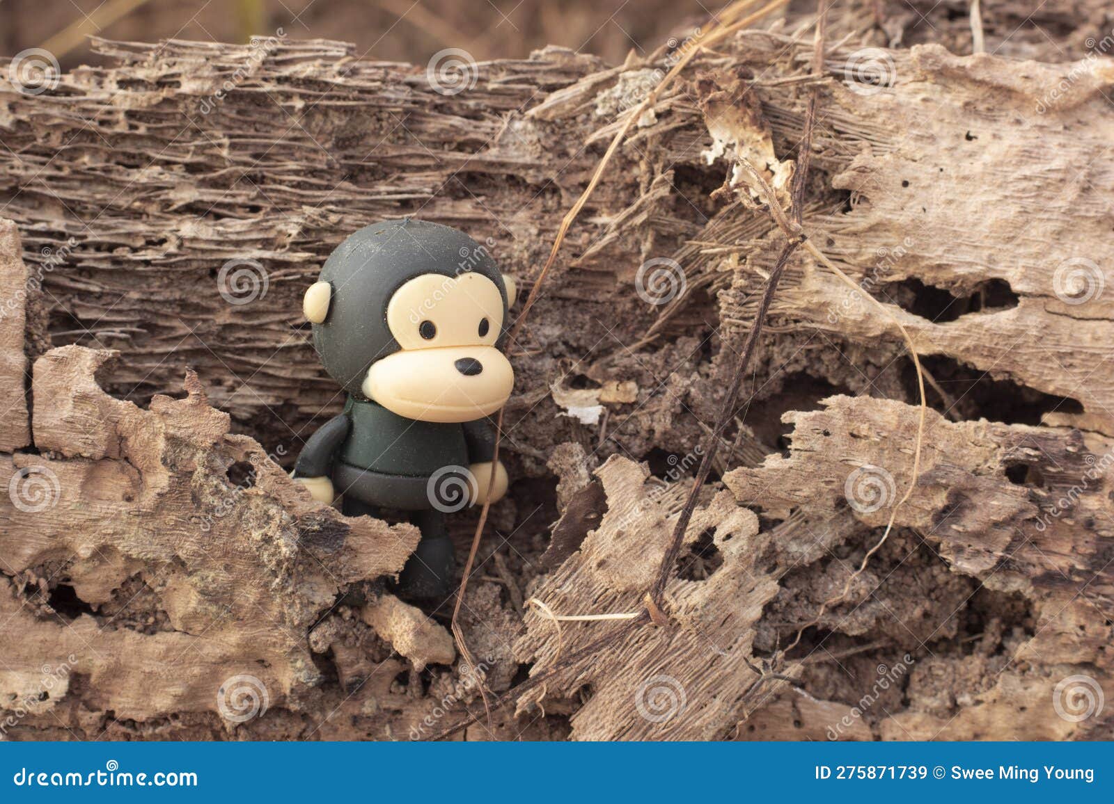 Infrared Image of the Monkey Toys on the Dried Deforested Land Stock ...