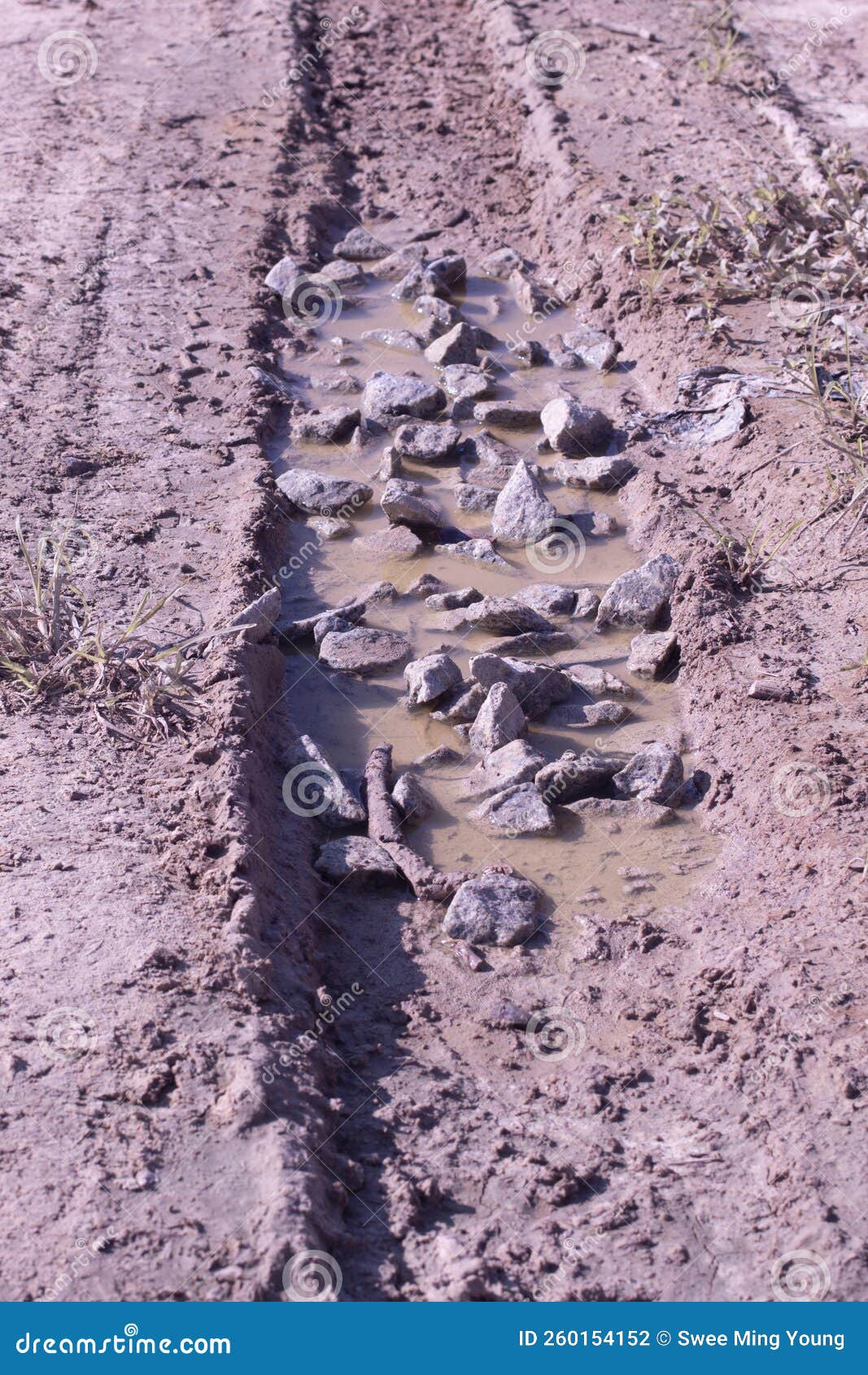 Image of the Rural Road Ground. Stock Photo - Image of compost, debris ...