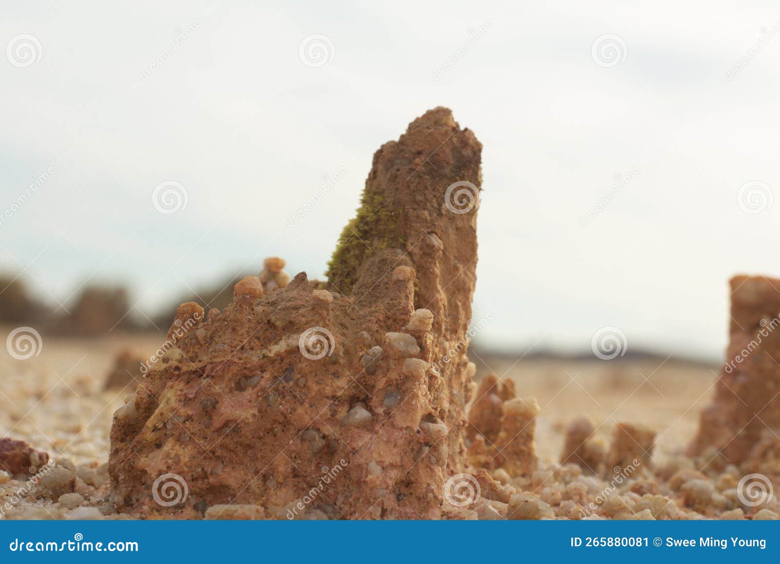 Scene Around the Deserted Land Due To Deforestation and Earth Mining ...