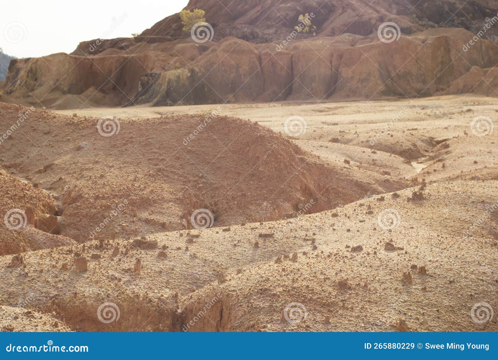 Scene Around the Deserted Land Due To Deforestation and Earth Mining ...