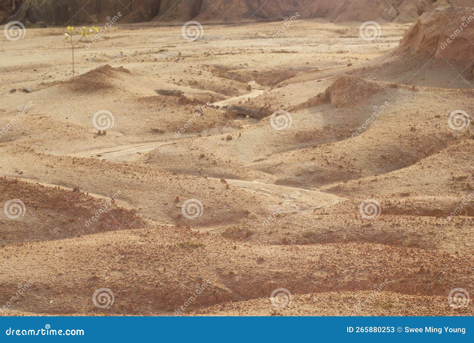 Scene Around the Deserted Land Due To Deforestation and Earth Mining ...