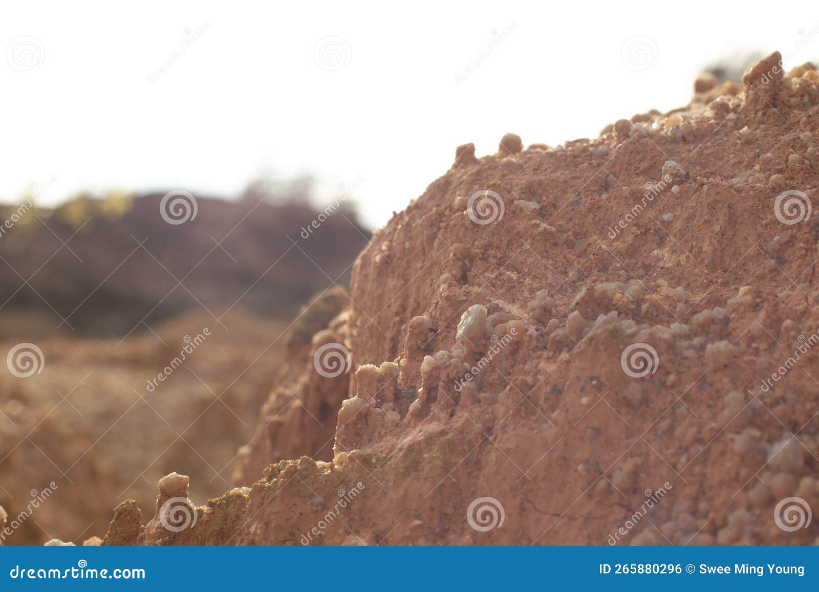 Scene Around the Deserted Land Due To Deforestation and Earth Mining ...