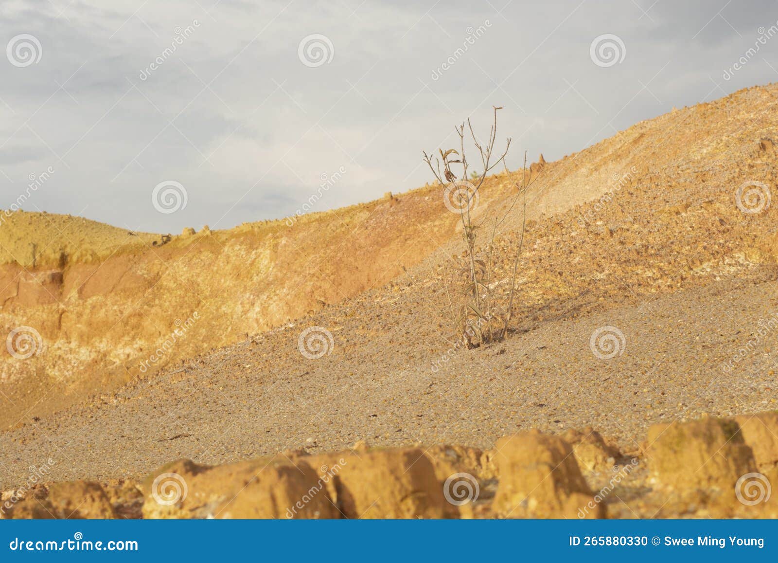 Scene Around the Deserted Land Due To Deforestation and Earth Mining ...
