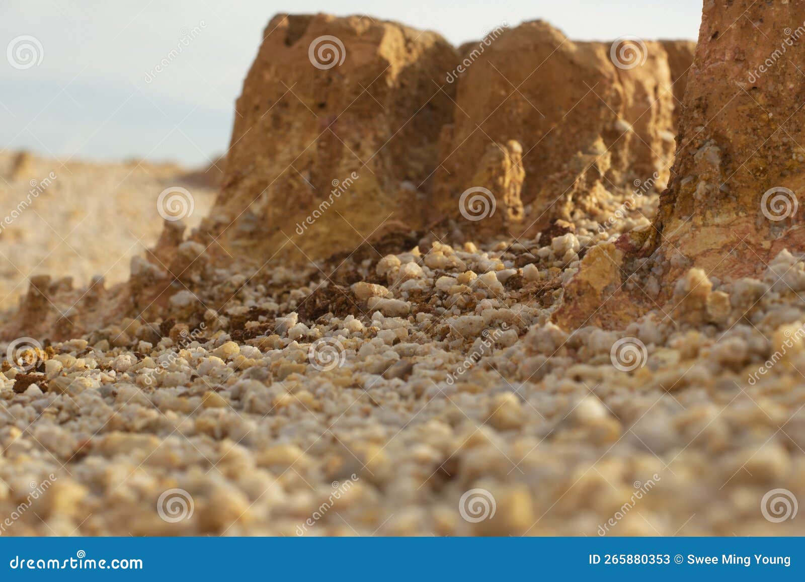 Scene Around the Deserted Land Due To Deforestation and Earth Mining ...