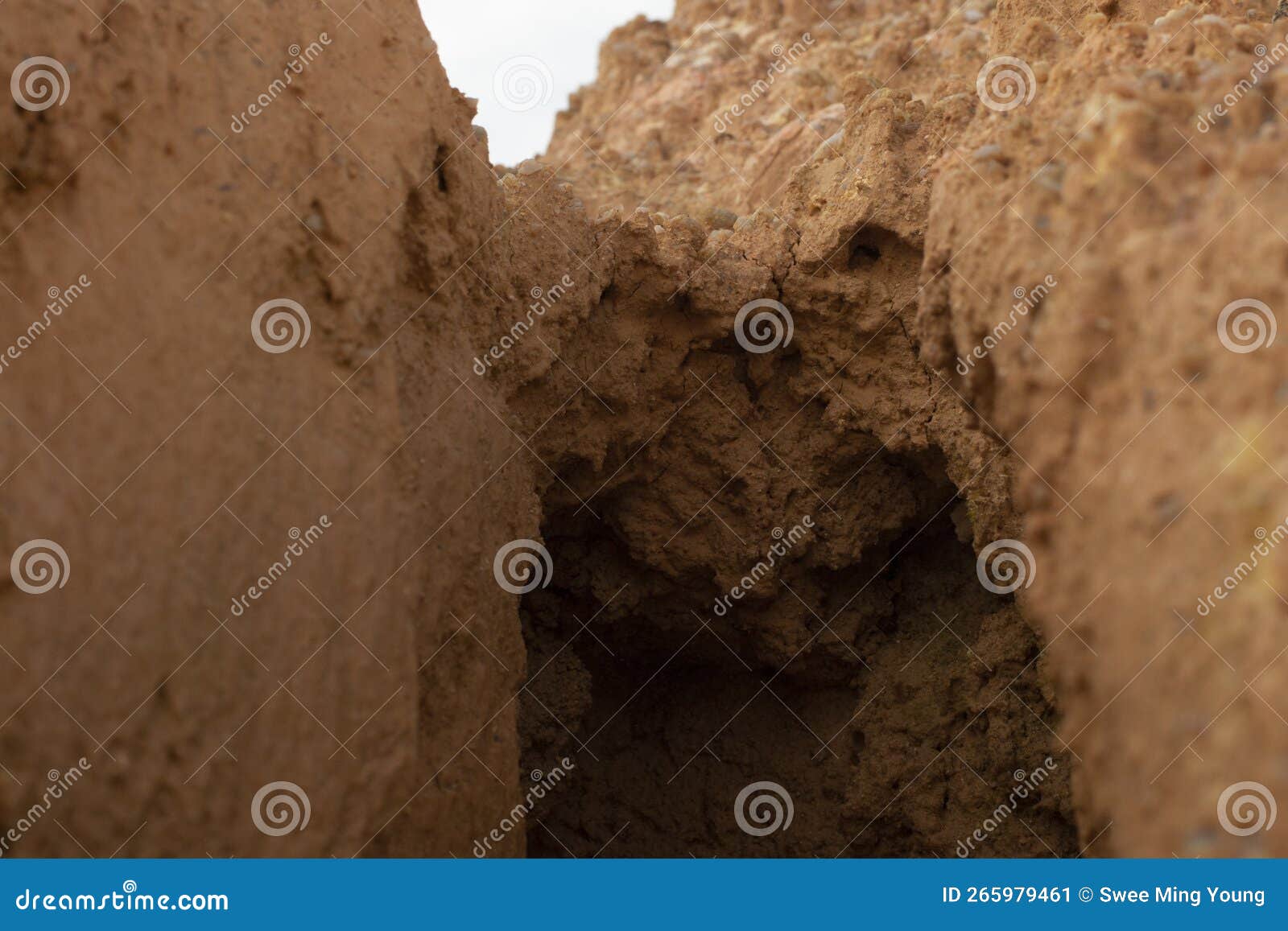 Scene Around the Deserted Land Due To Deforestation and Earth Mining ...