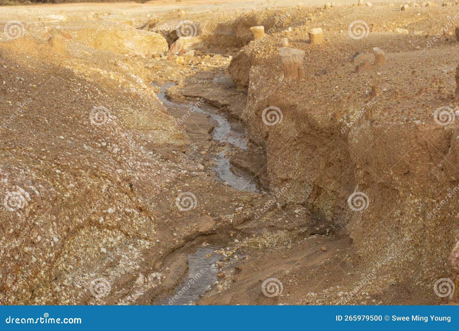 Scene Around the Deserted Land Due To Deforestation and Earth Mining ...
