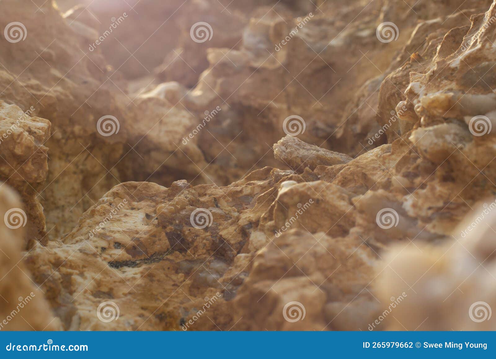 Scene Around the Deserted Land Due To Deforestation and Earth Mining ...