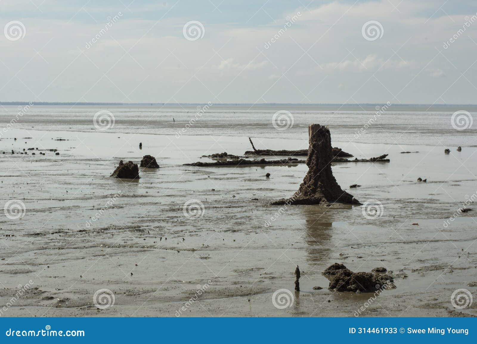 Image of the Swampy Mud Beach Environment at the Low-tide Beach. Stock ...