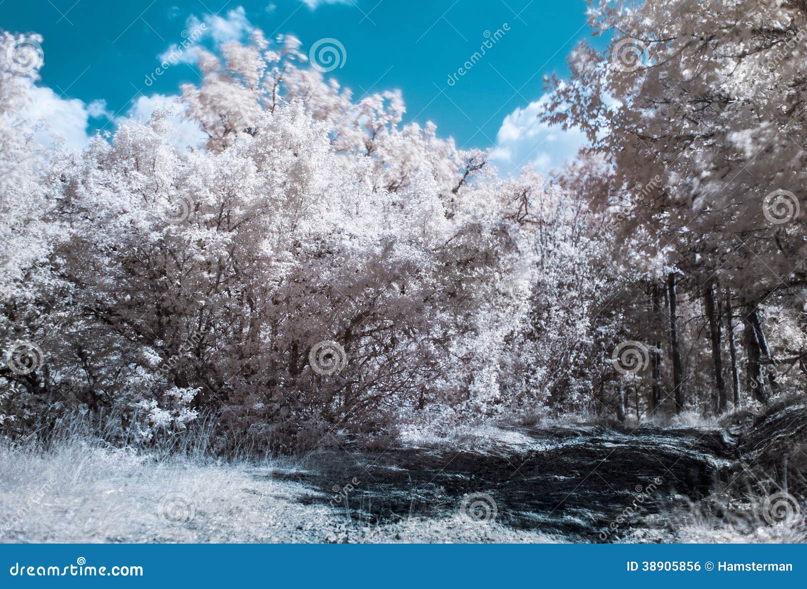 Infrared (IR) Photography Landscape Stock Photo - Image of travel ...