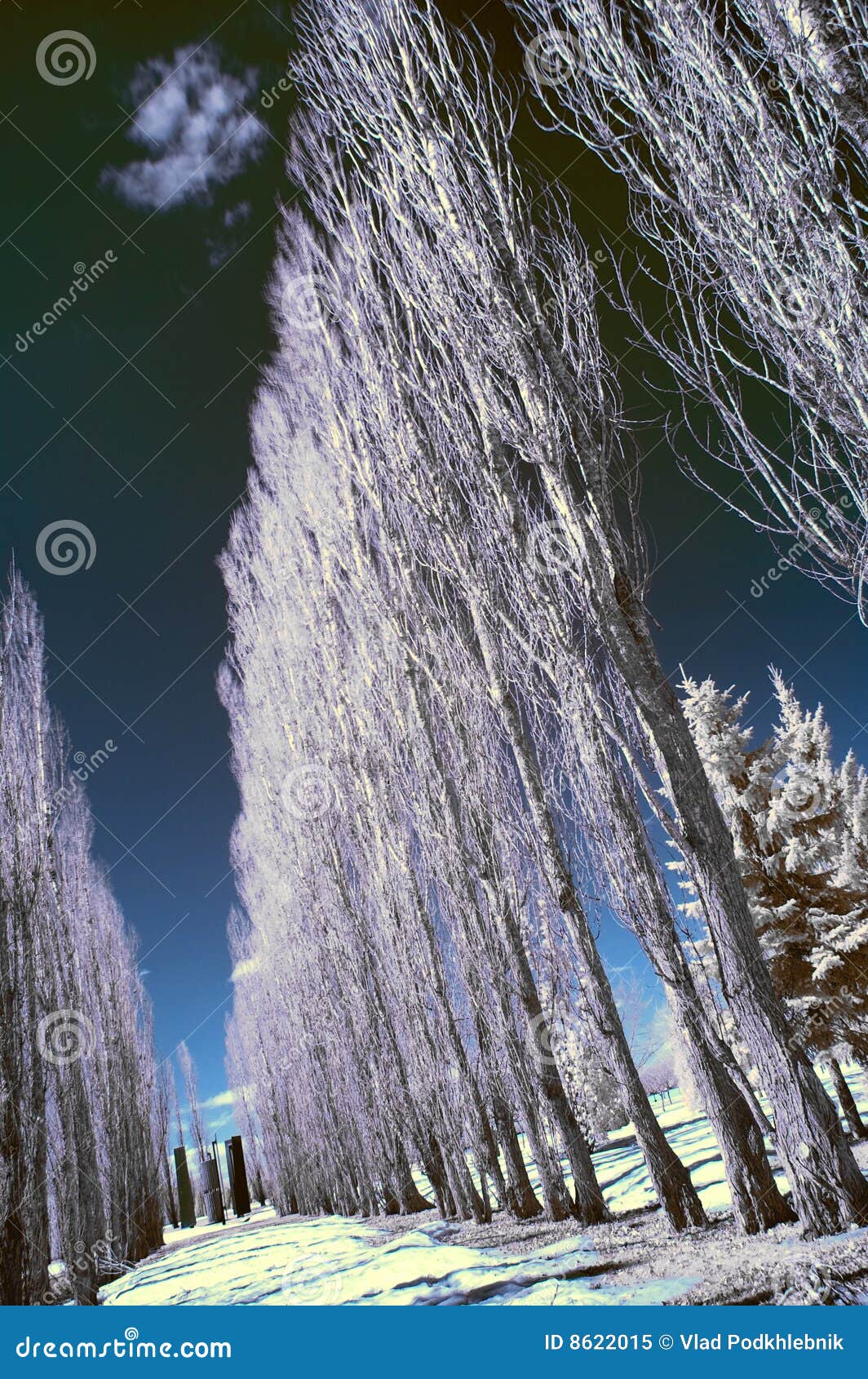 Infrared Landscape stock image. Image of infrared, vegetation - 8622015