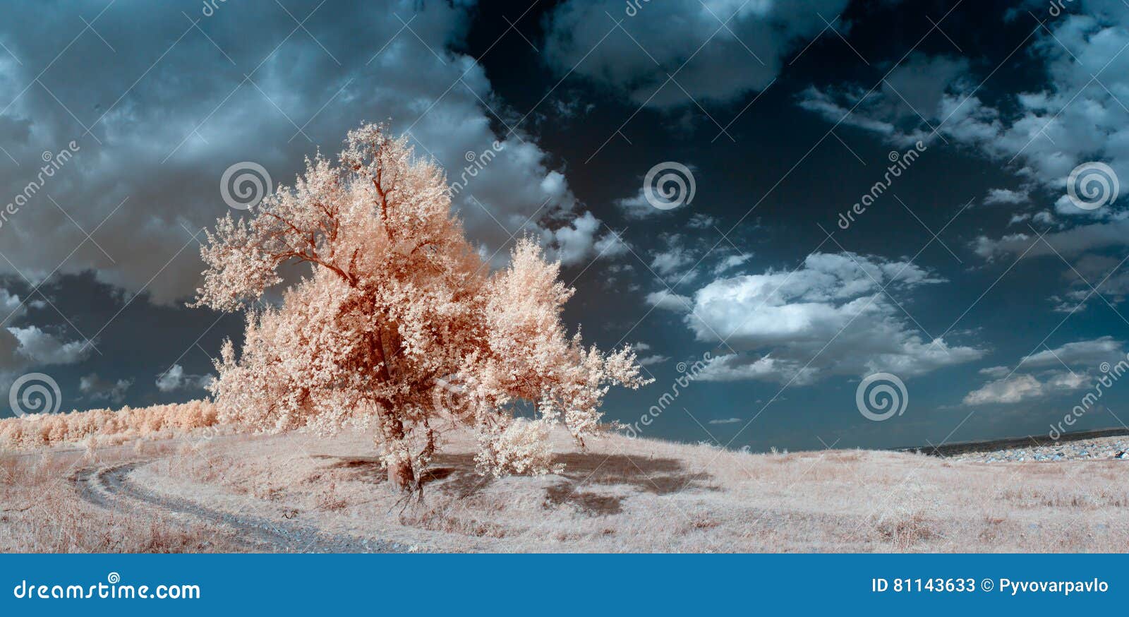 Infrared Landscape Royalty-Free Stock Photography | CartoonDealer.com ...