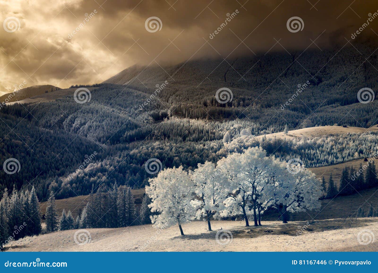 Infrared landscape stock photo. Image of spot, terrain - 81167446